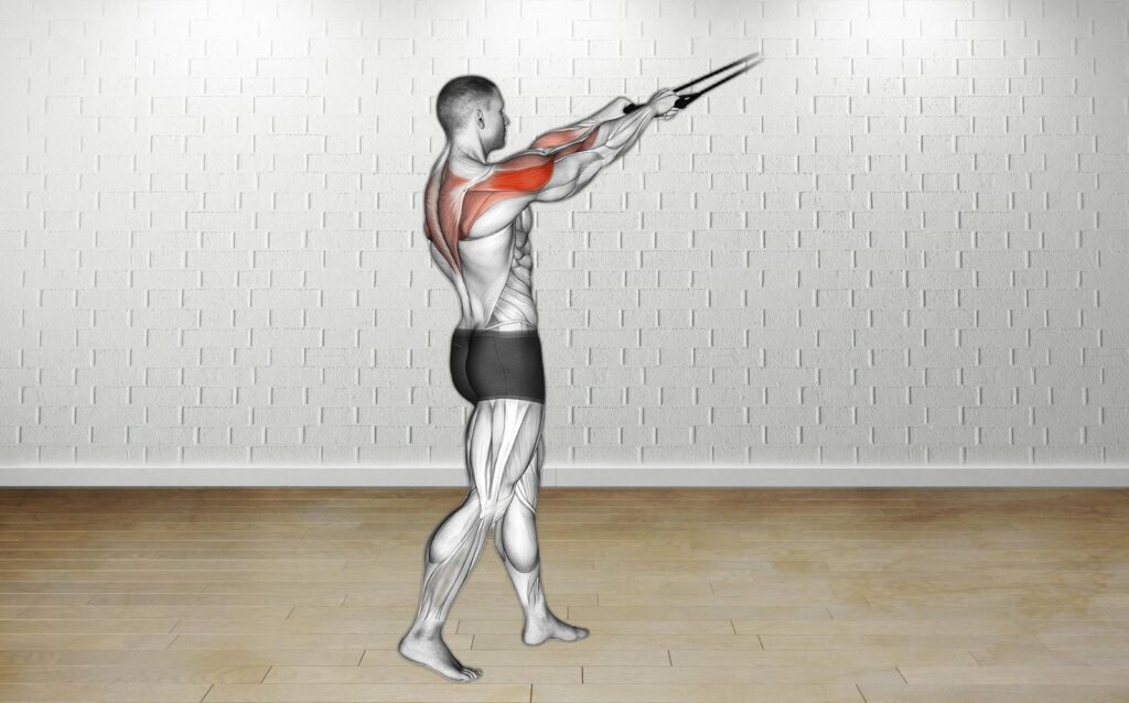 Effective Trapezius Exercises for Stronger Shoulders – Fitness Volt