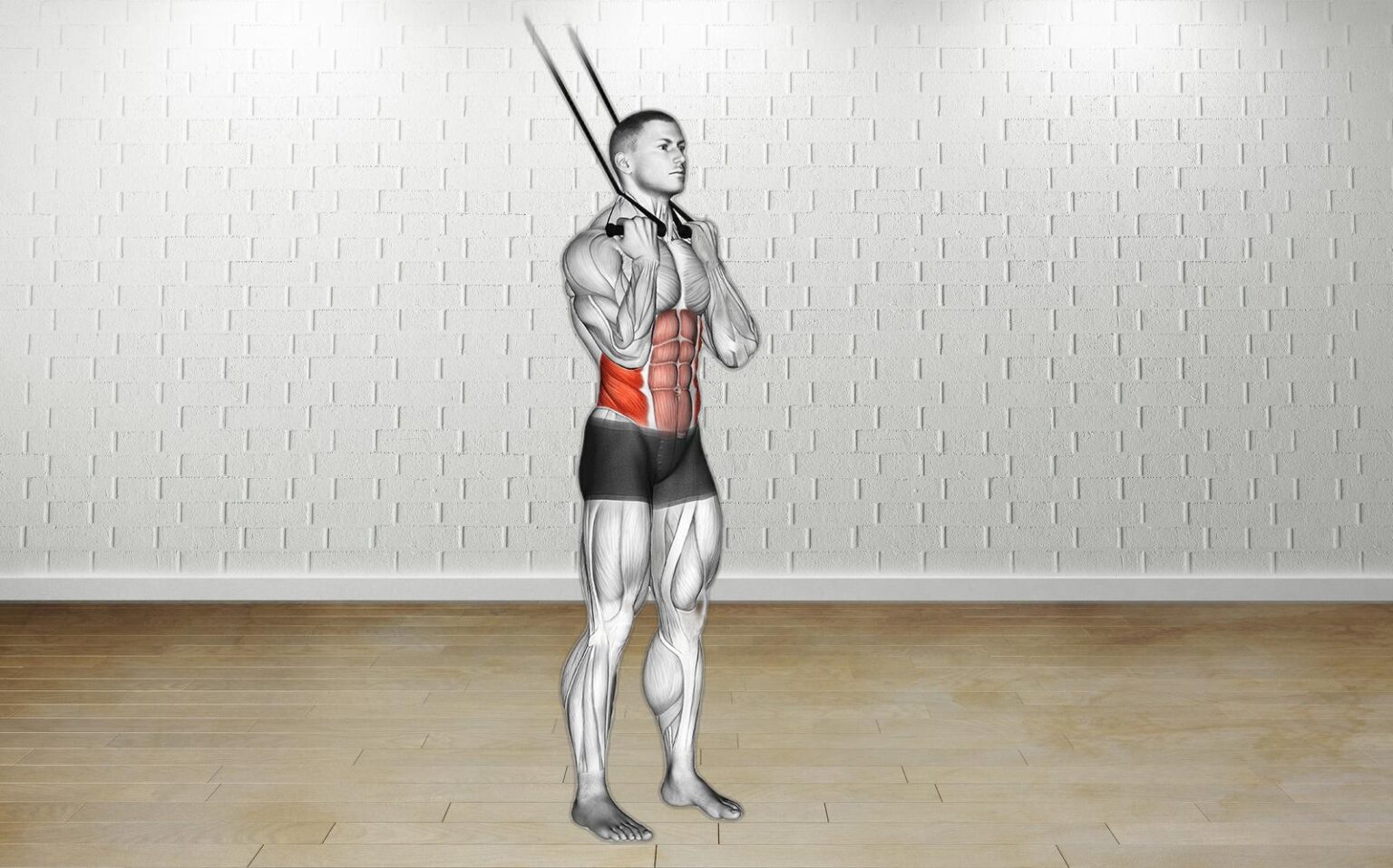 Effective Oblique Exercises for Core Strength – Fitness Volt