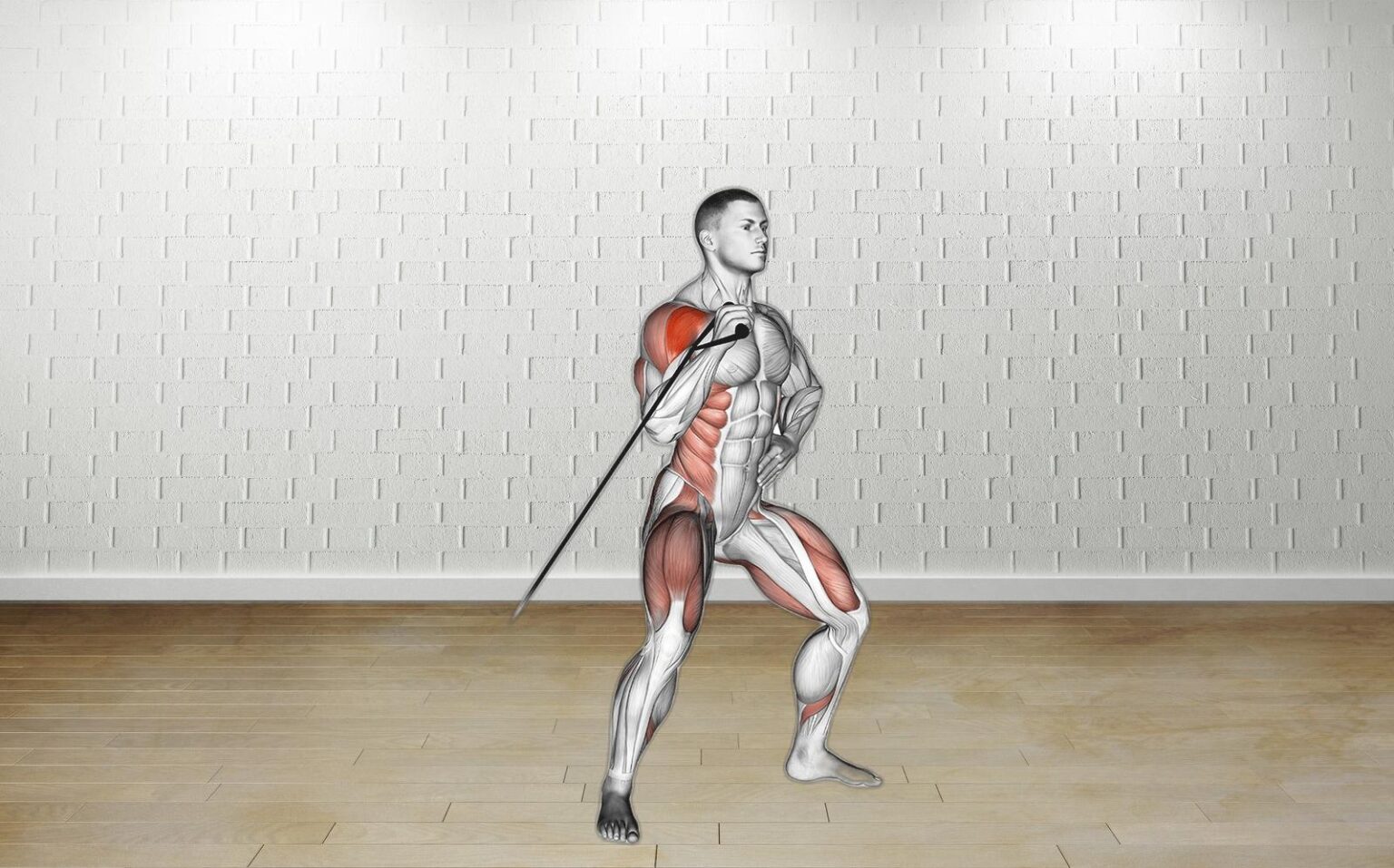 Ultimate Upper Back Exercises for Strength Training – Fitness Volt