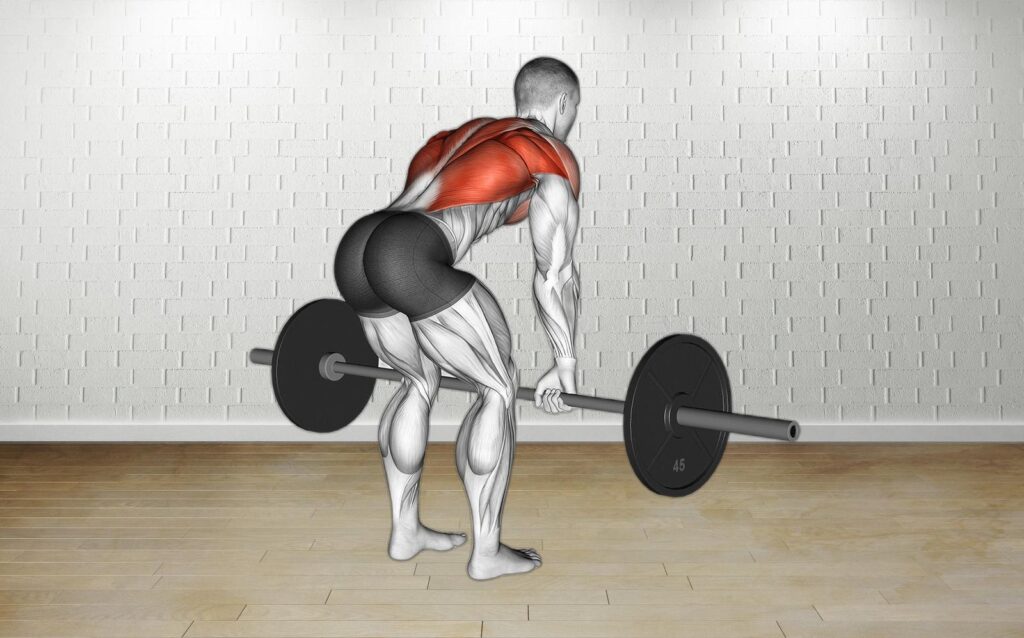 Ultimate Biceps Workouts for Maximum Muscle Gain – Fitness Volt