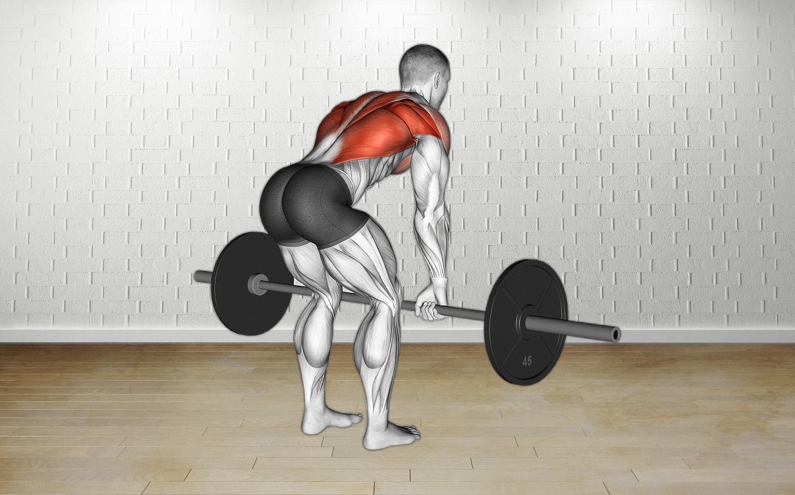 Master the Barbell Bent Over Row for a Stronger Upper Back – Fitness Volt