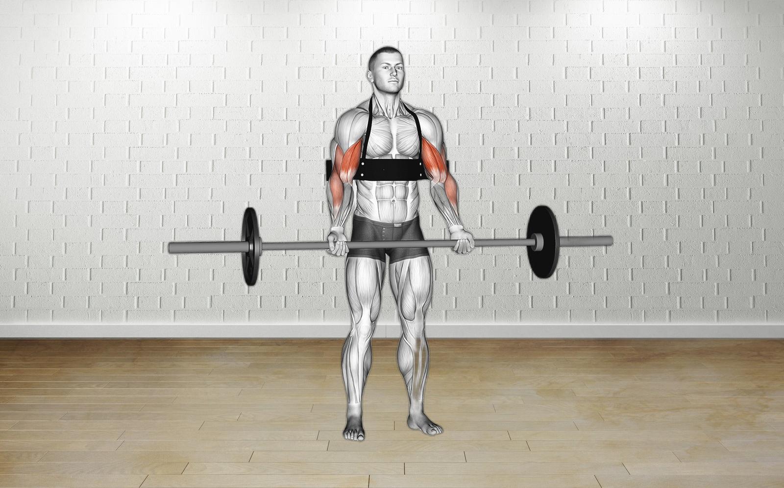 Guide to Barbell Curls with Arm Blaster for Maximum Biceps Gains ...
