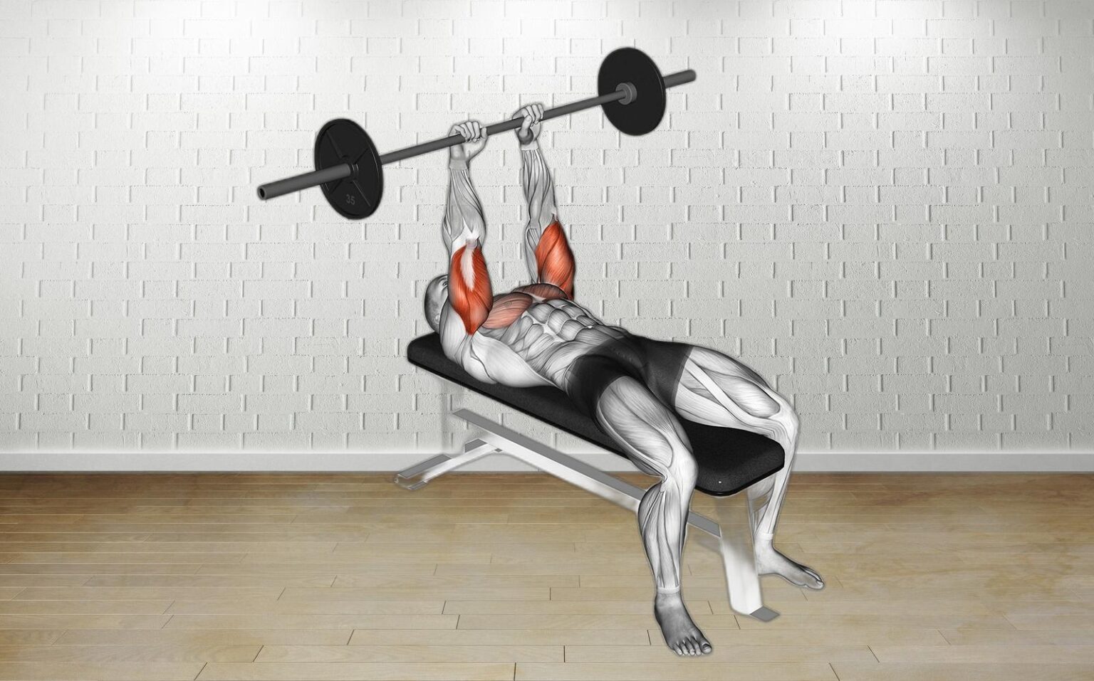 Ultimate Shoulder Exercises for Strength Training – Fitness Volt
