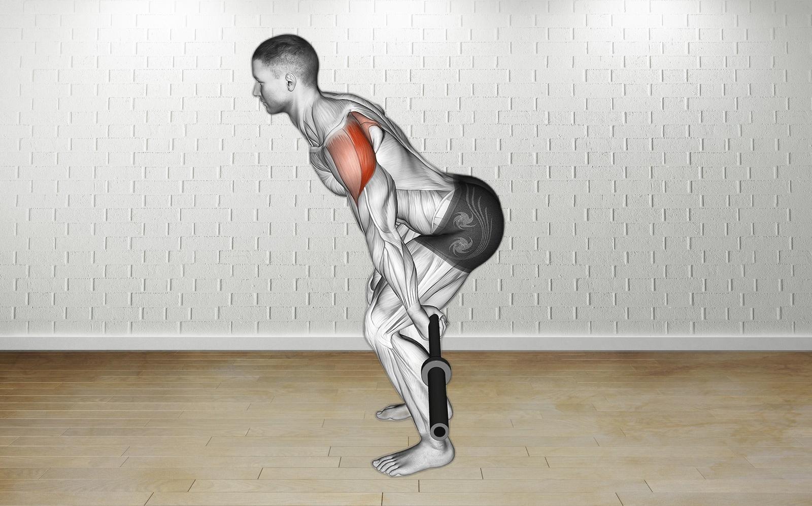 Barbell Skier Exercise: Sculpt Stronger, More Defined Delts – Fitness Volt