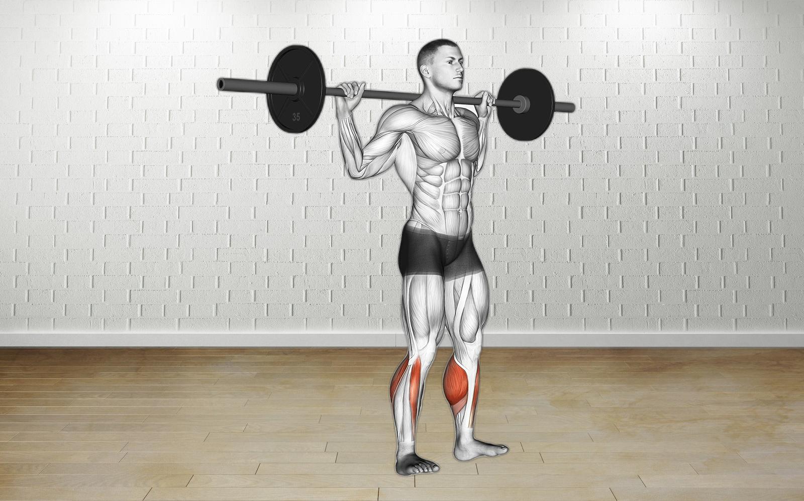 Barbell Rocking Standing Calf Raise to Build Strong Calves – Fitness Volt