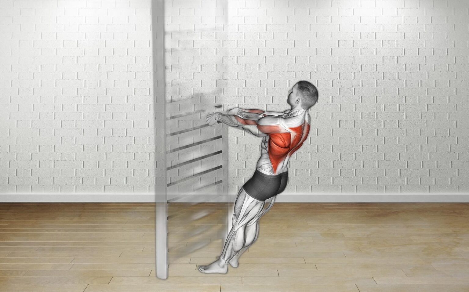 Ultimate Upper Back Exercises for Strength Training – Fitness Volt