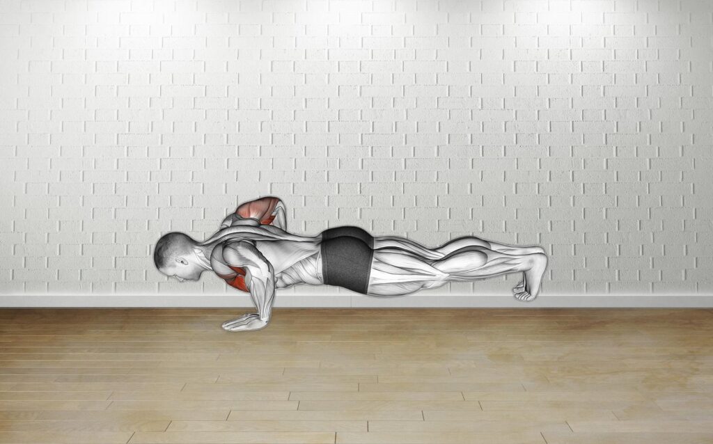 Ultimate Pectoral Exercises for Powerful Chest Training – Fitness Volt