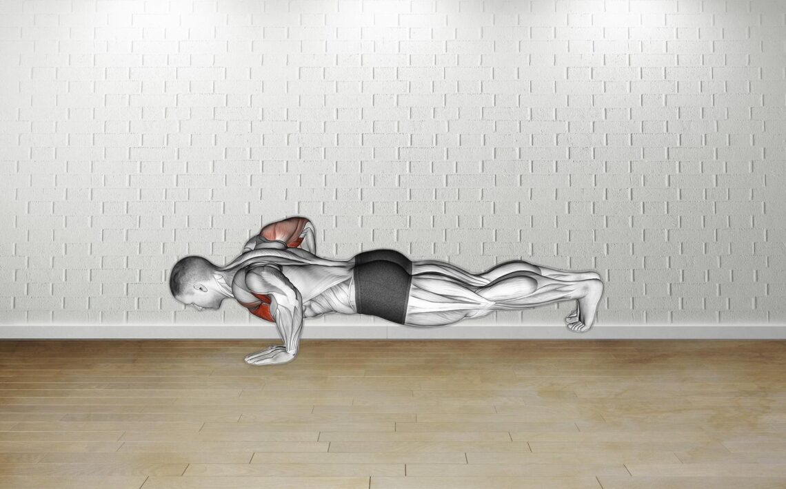 Ultimate Pectoral Exercises for Powerful Chest Training – Fitness Volt