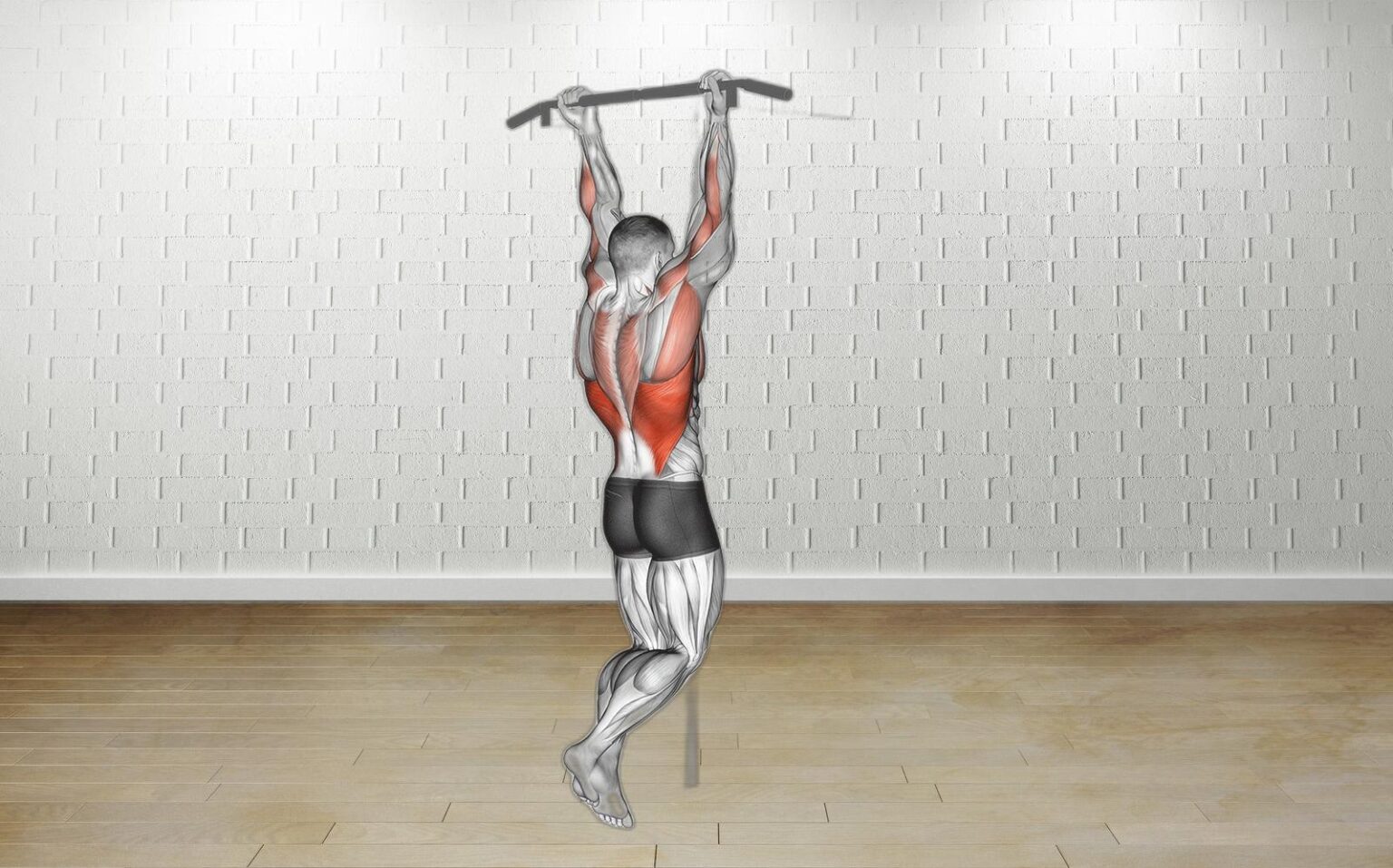 Effective Teres Major Exercises for Stronger Shoulders – Fitness Volt