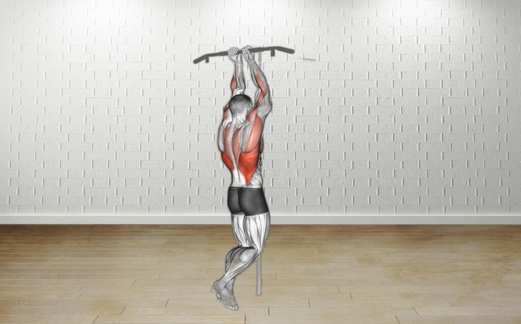 Ultimate Biceps Workouts for Maximum Muscle Gain – Fitness Volt