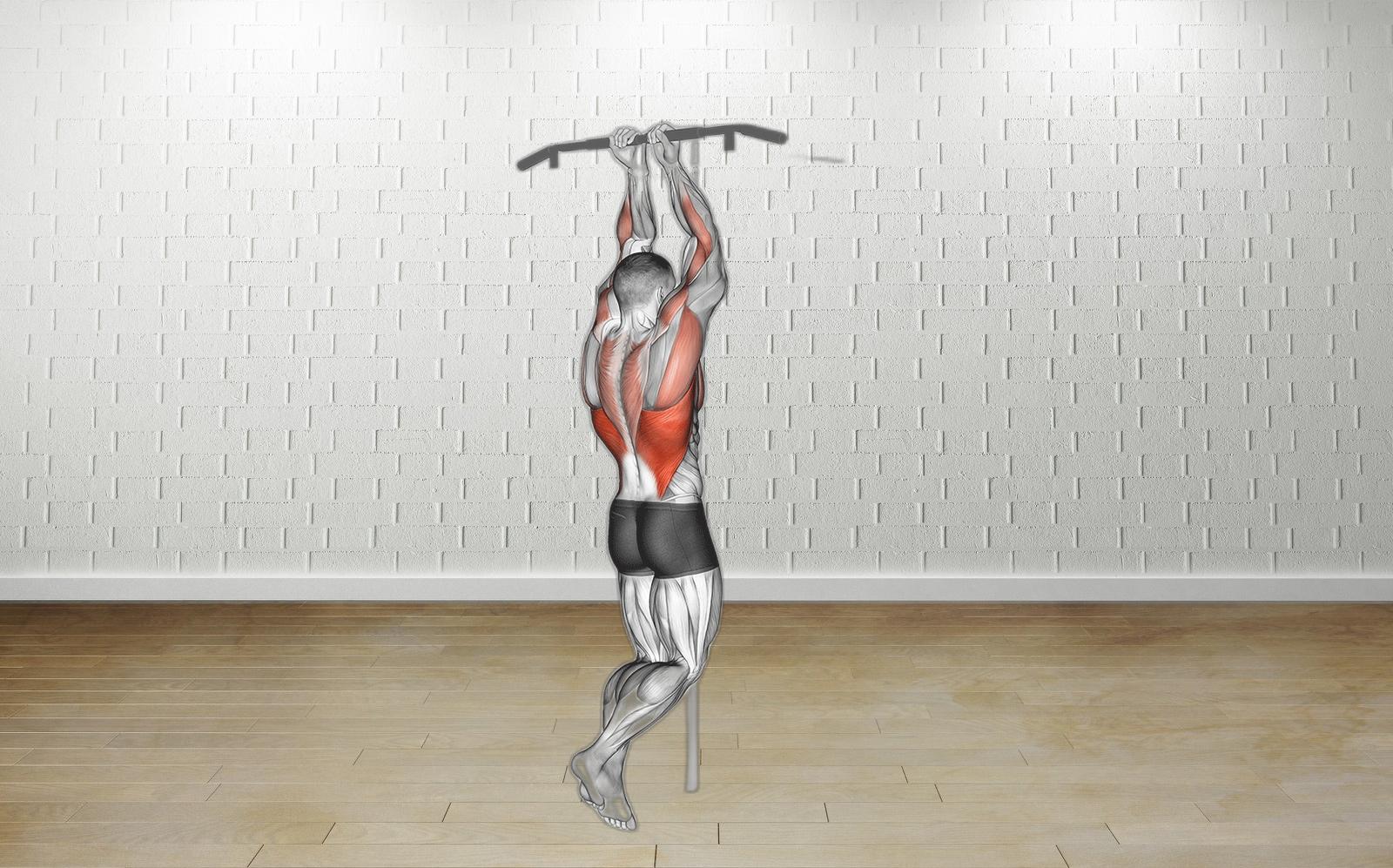 Master the Close Grip Chin-Up: Build Powerful Lats Fast! – Fitness Volt