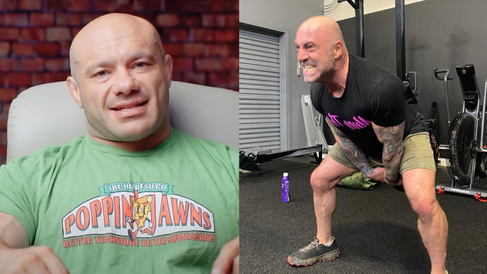 Exercise Scientist Critiques Joe Rogan's New Workout and Diet Routine ...