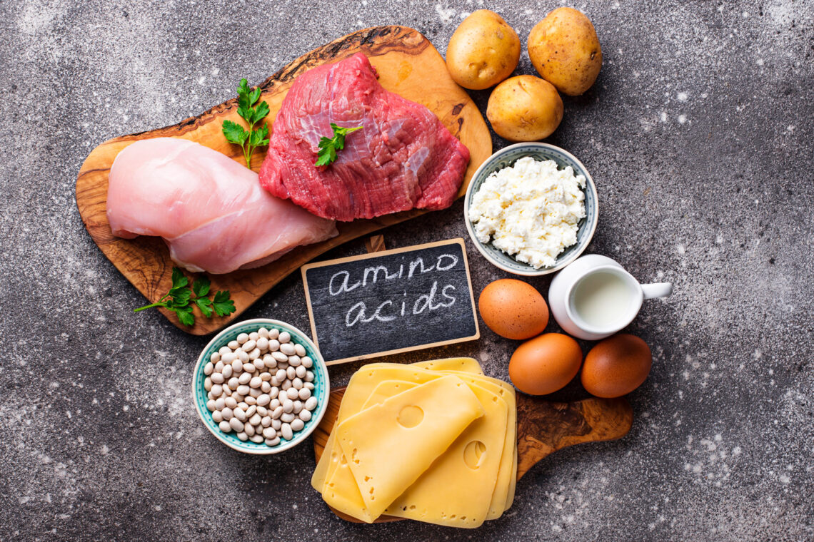 The Role of Amino Acids in Muscle Growth: Which Ones Matter Most?