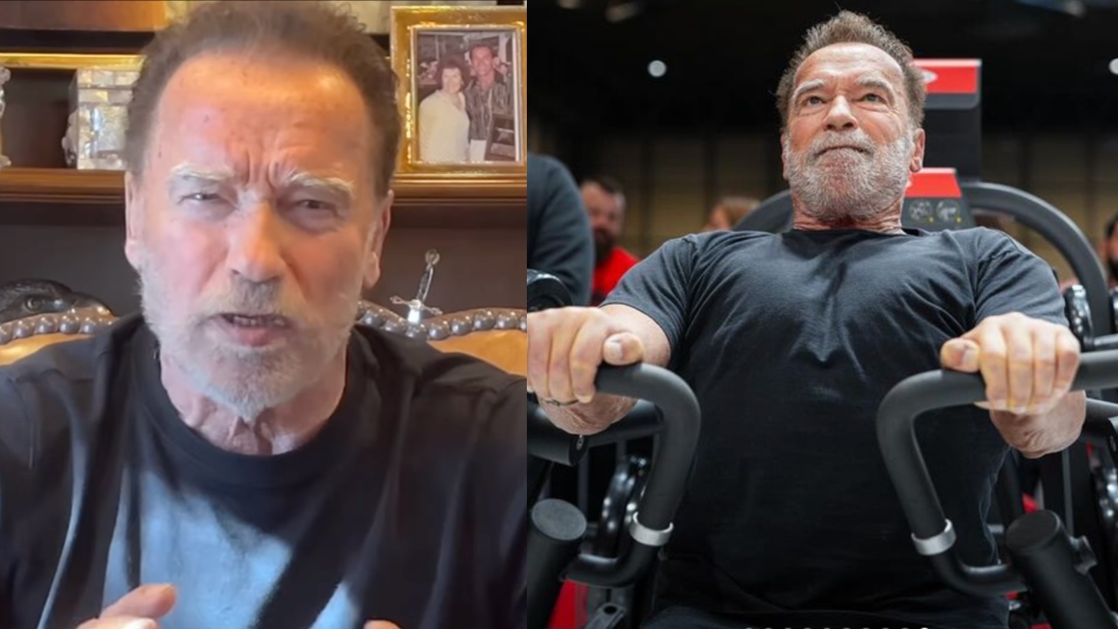 Arnold Schwarzenegger Discusses If Profanity During Workouts Can Enhance Physical Performance ...