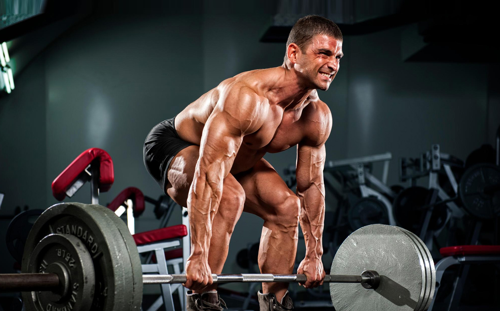Only 5 Exercises EVERY Man Must Be Doing for Optimal Strength and ...