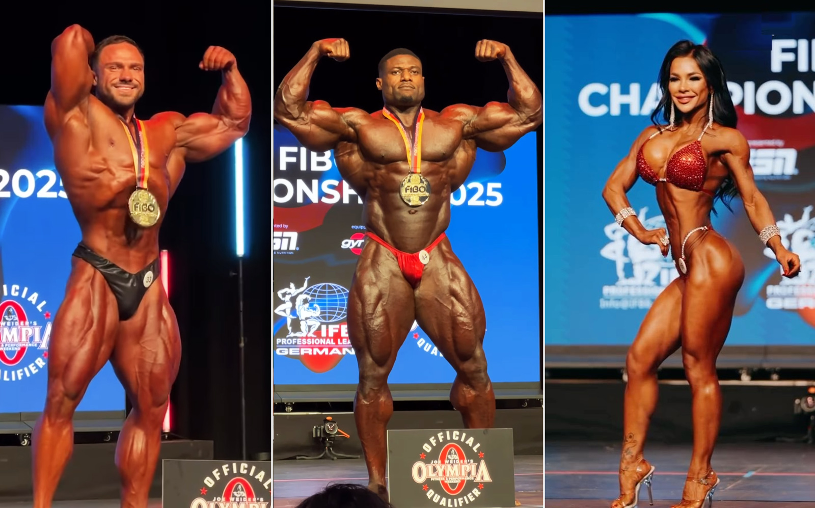 2025 FIBO Pro Championships Bodybuilding Results – Fitness Volt