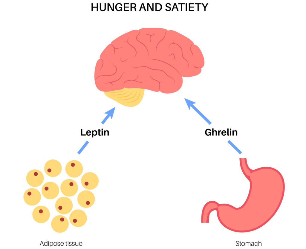 Beyond Calories: 4 "Hidden" Hormonal Reasons You're Not Losing Weight