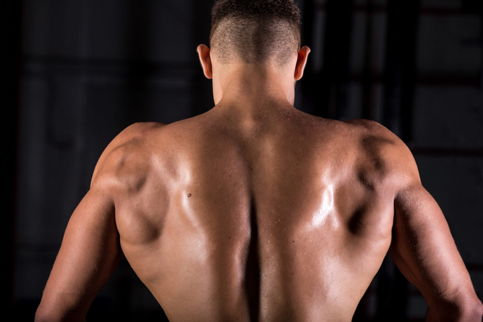 Unlocking Scapular Strength: The Secret to a Bigger Bench and Shoulders