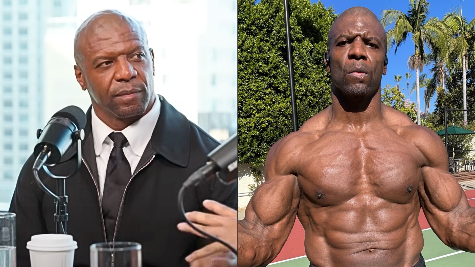 Terry Crews: More Than Just Muscles