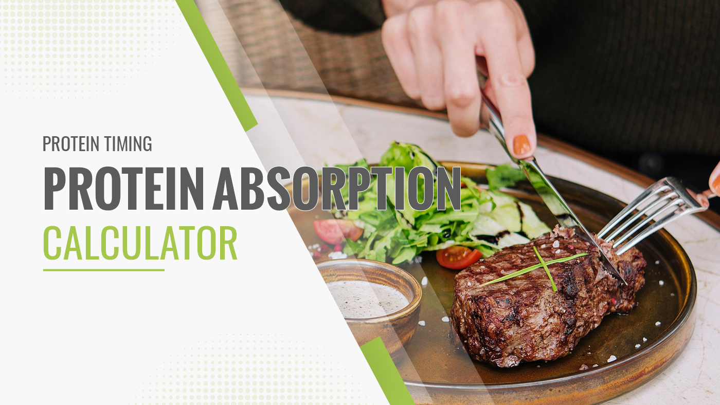 Protein Absorption Calculator: How Fast Does Your Body Digest Protein ...